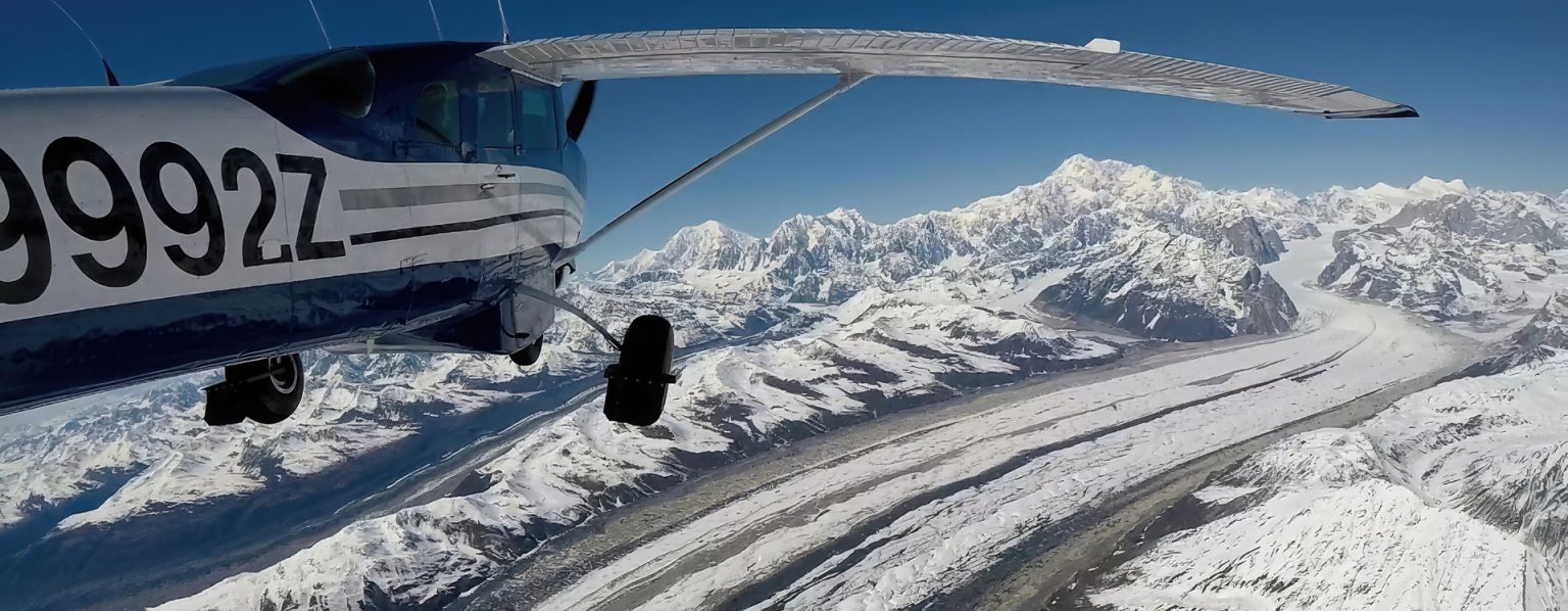 Brown Bear Viewing in Alaska Range with Alaska Air Service